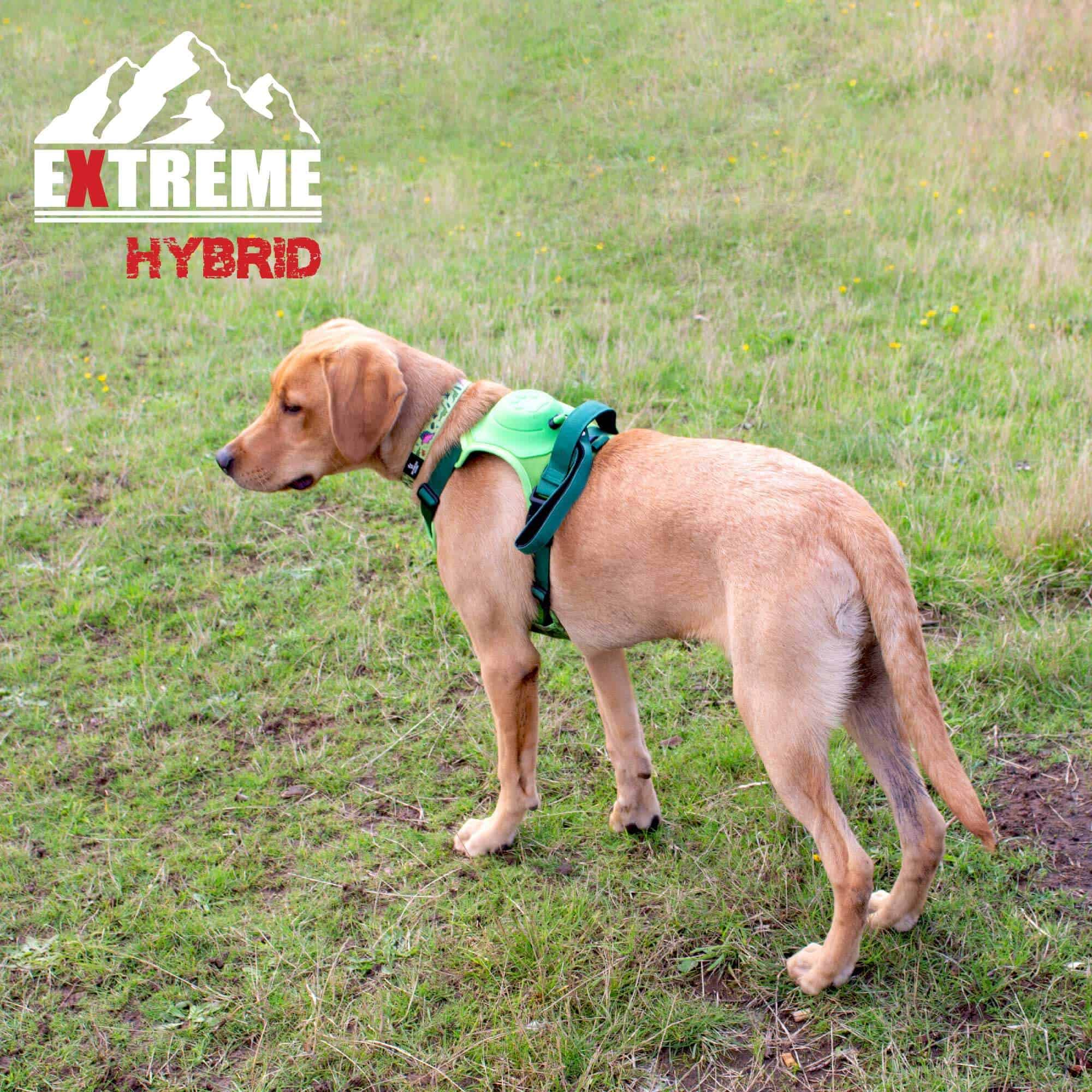 Ancol Extreme Hybrid Dog Harness - Pet Shop Direct