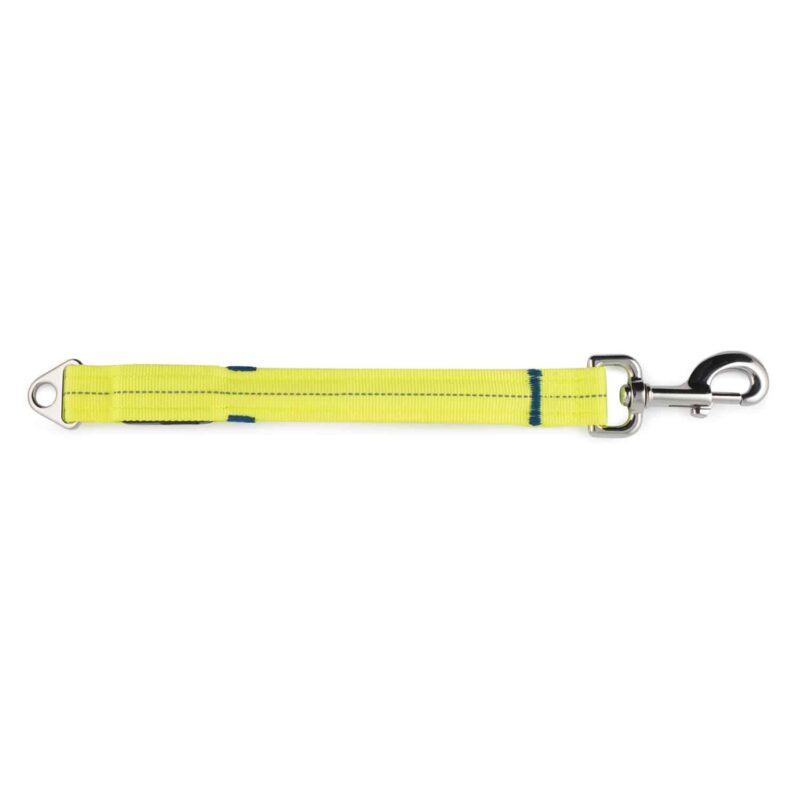 Safety Dog Lead | Ancol Hi-Vis Flashing Lead Attachment | Hi-Vis