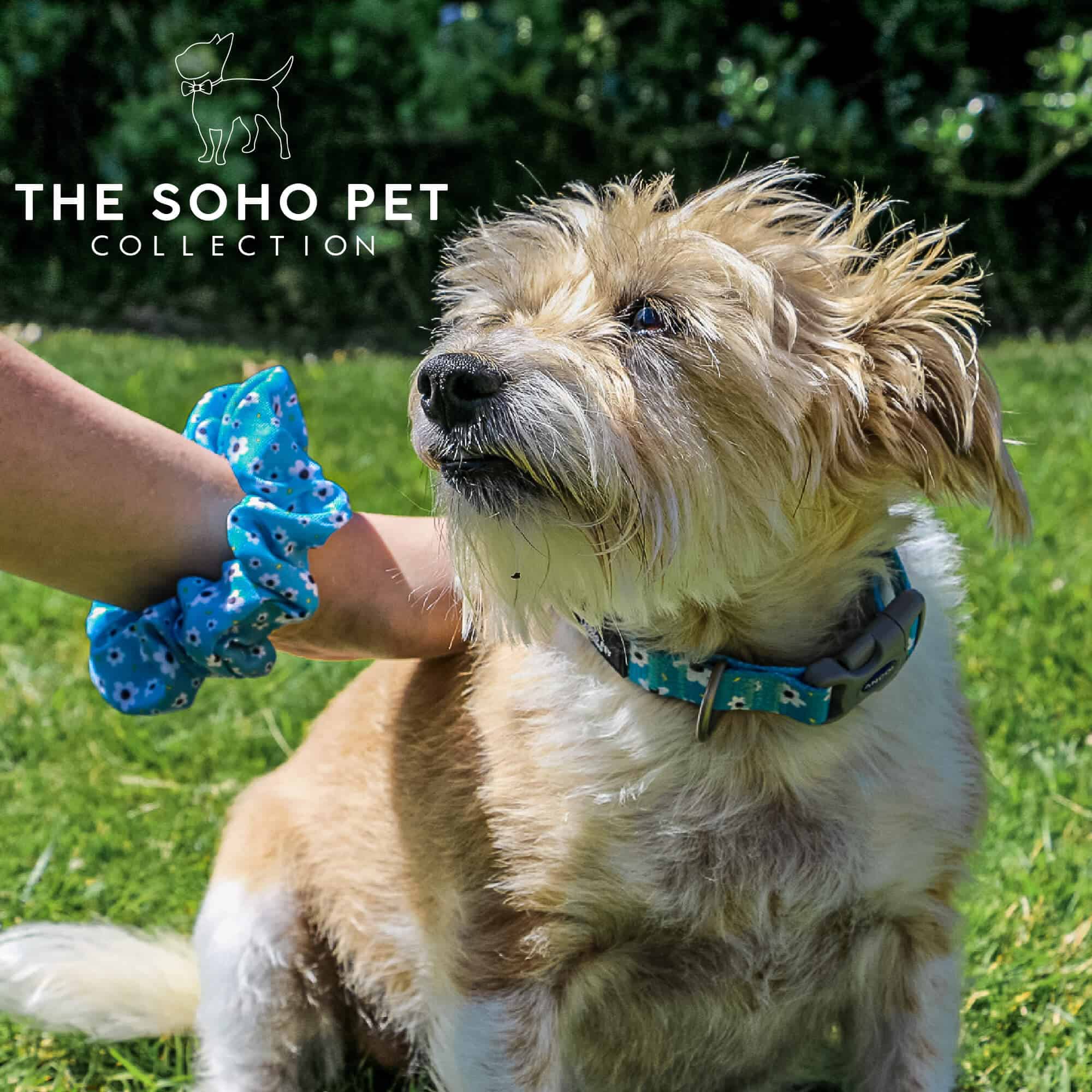 Ancol Dog Lead |Soho Pet Collection Range | 100% ecycled fabric