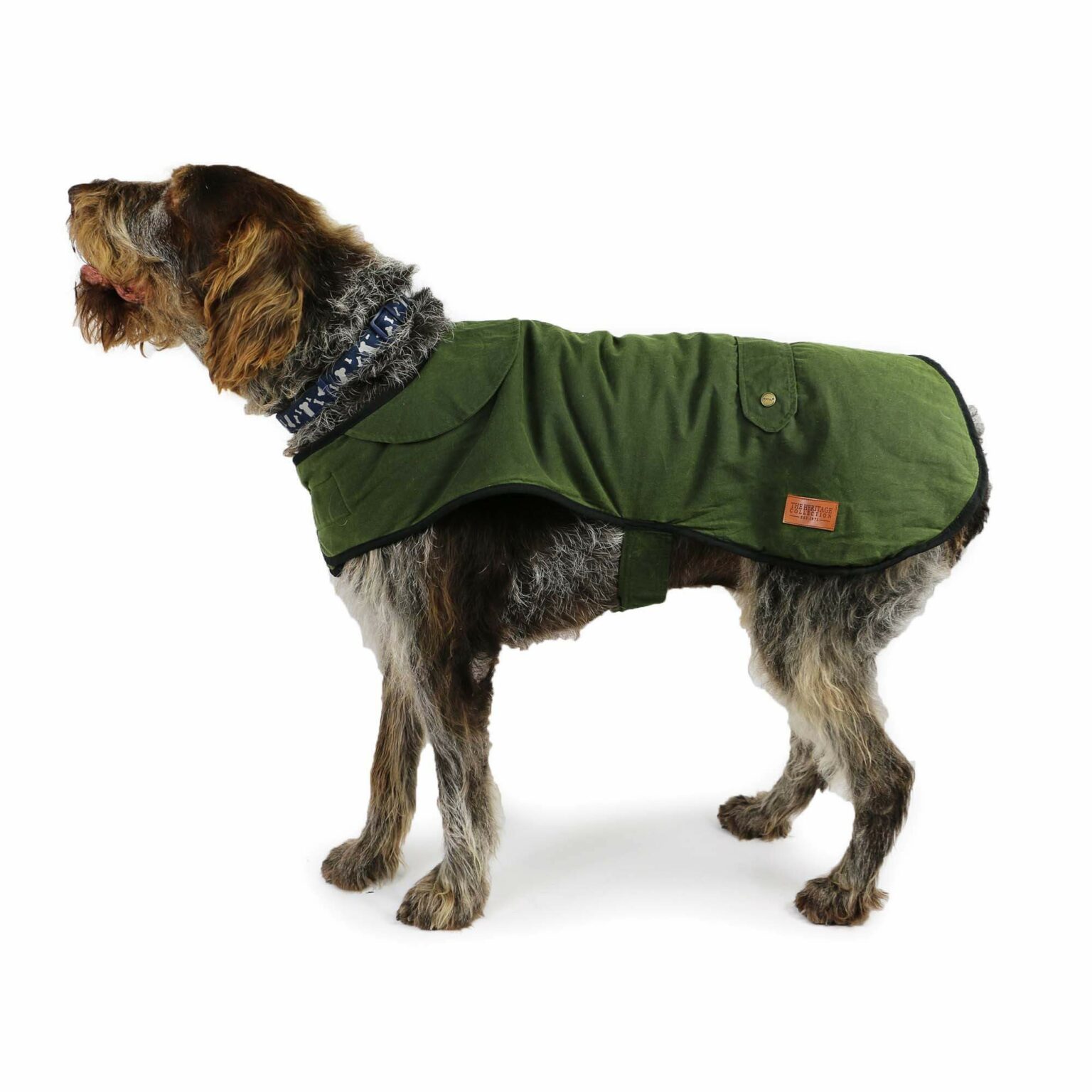 Record Peak29 Windproof Dog Coat - Pet Shop Direct