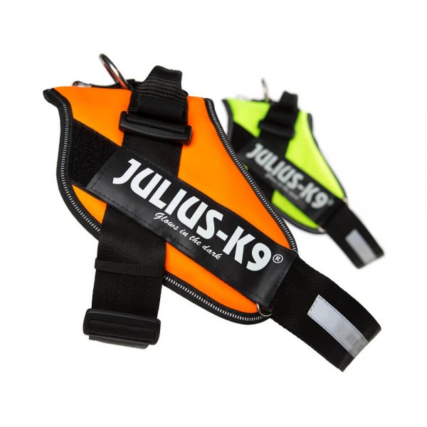 Julius-K9 Harness Patches | Accessories | Petshop Direct