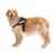 Julius K9 Size Guide | Julius K9 Harness Size Chart, Sizing & Fitting Guide