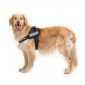 Julius K9 Size Guide | Julius K9 Harness Size Chart, Sizing & Fitting Guide