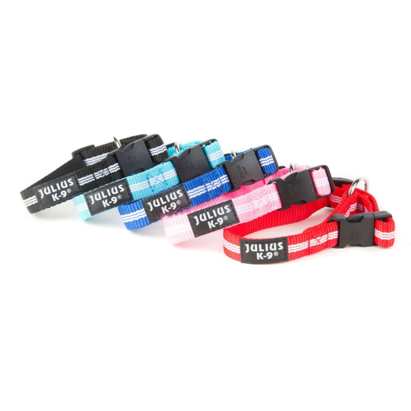 Ruffwear Flat Out Collar | Webbing Dog Collar | New Collection | Petshop
