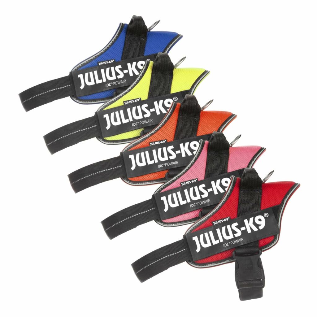 Julius K9 Size Guide | Julius K9 Harness Size Chart, Sizing & Fitting Guide