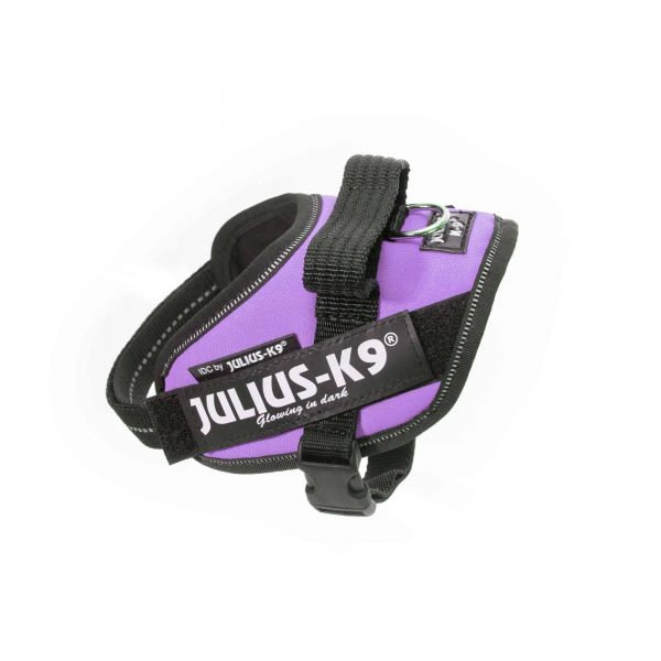 Julius-K9 IDC Dog Powerharness | Products | Petshop Direct