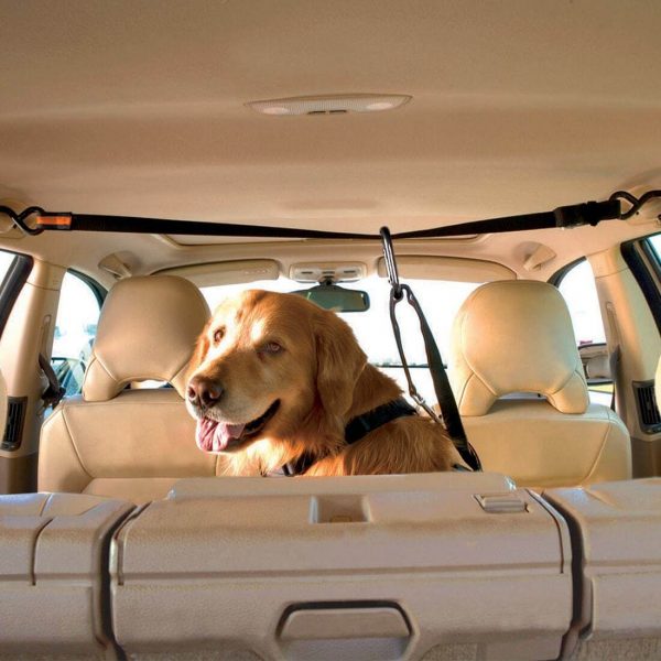 Kurgo Auto Zip Line | Keeps Pets Restrained | Petshop Direct
