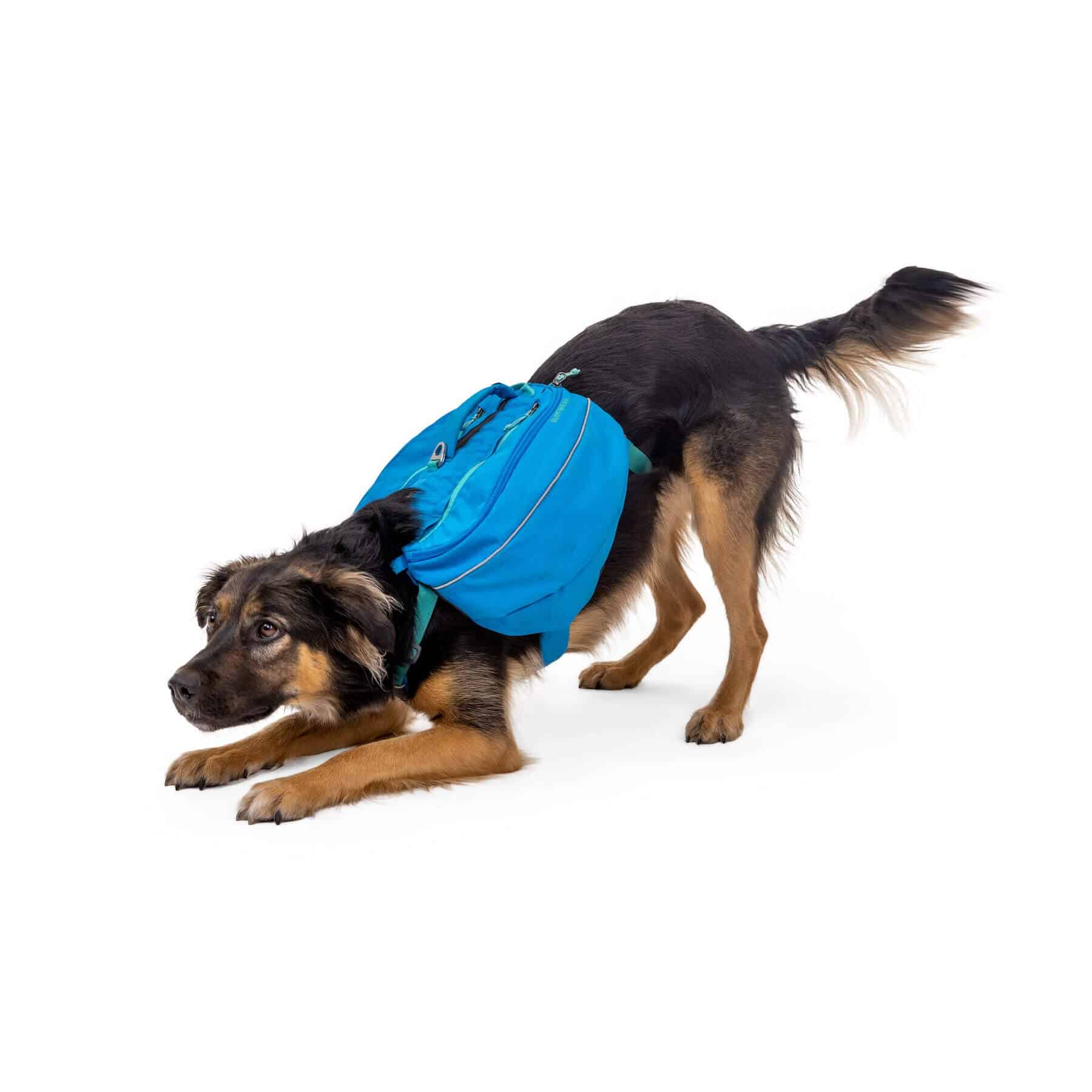 Ruffwear Approach™ Dog Backpack - Pet Shop Direct